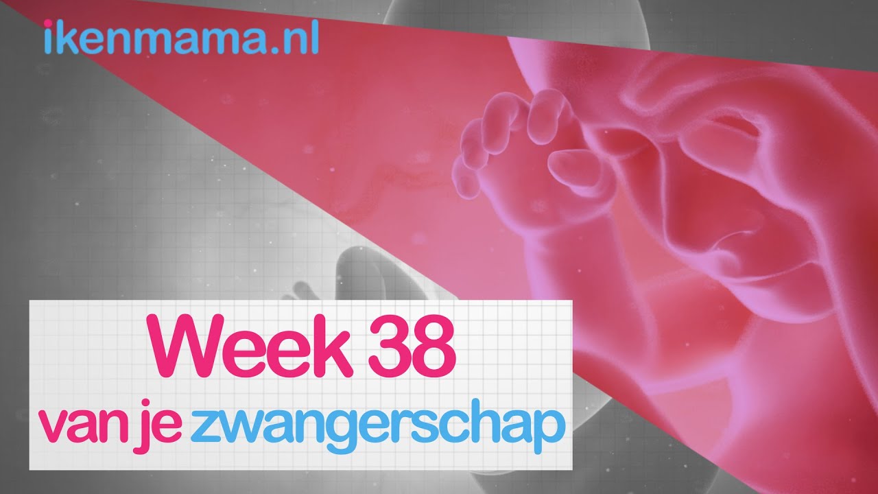 38 weken zwanger | ikenmama.nl - YouTube