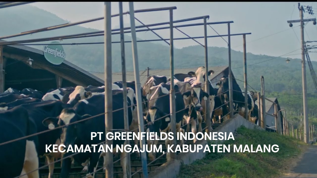 PT Greenfields Indonesia, Kecamatan Ngajum, Kabupaten Malang - YouTube