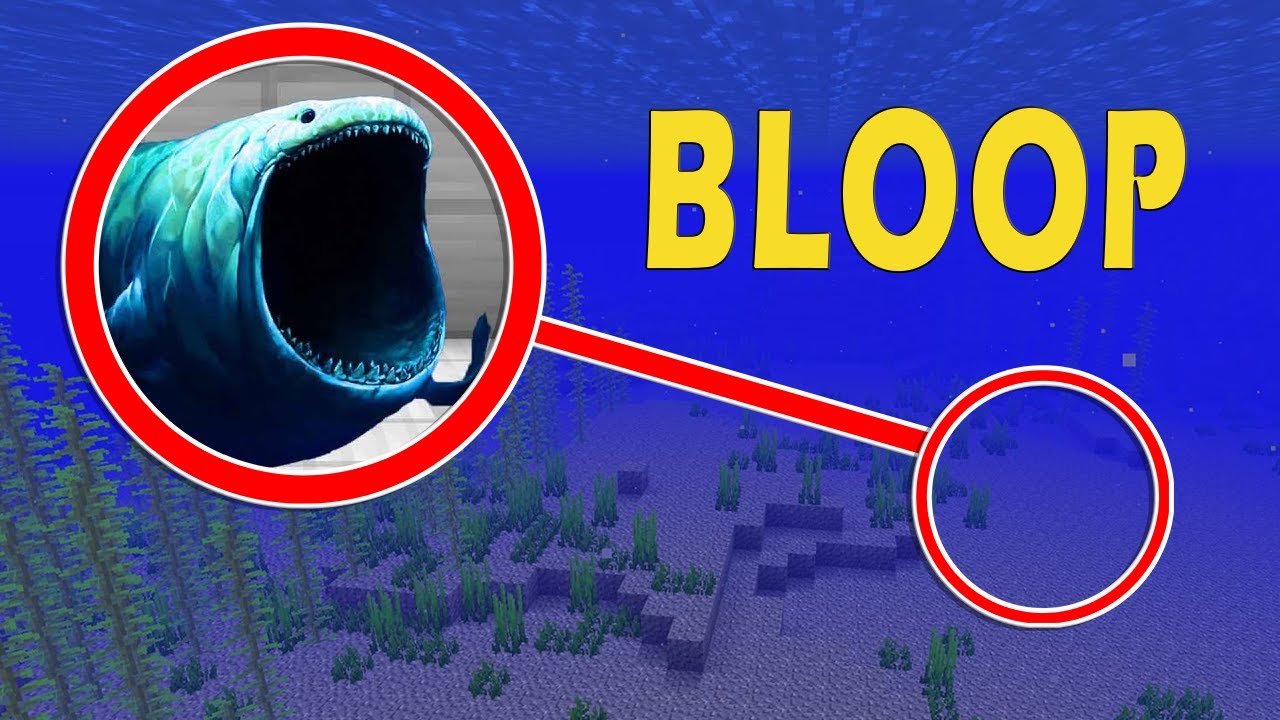 J'ESPIONNE BLOOP A 3H00 DU MATIN SUR MINECRAFT ! Très terrifiant ...