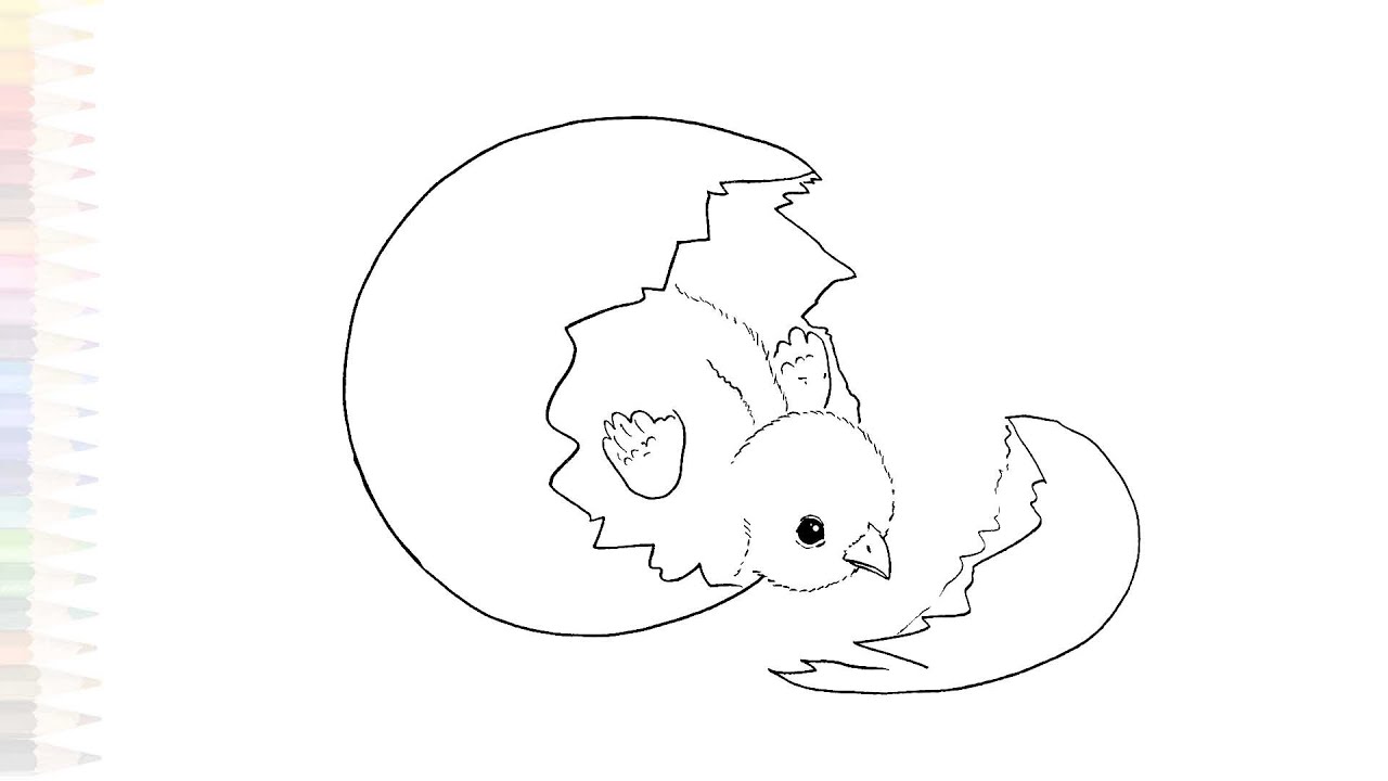 New born baby bird drawing easy | Art tutorial | How to draw A Baby ...