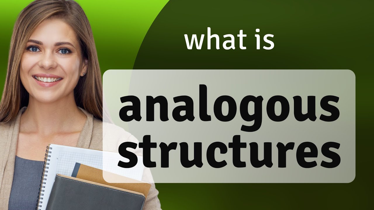 Understanding Analogous Structures: A Key to Evolution - YouTube