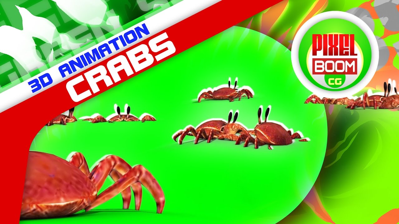 Green Screen Group of Crab on the Sand - Footage PixelBoomCG - YouTube