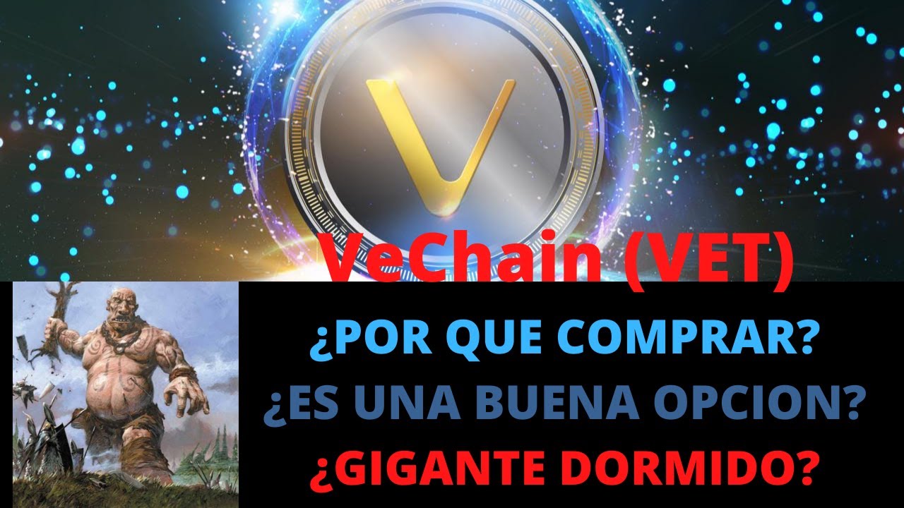 VeChain (VET)🔗 - VETHOR TOKEN 🎫 ¿Que es ? ¿BUENA O MALA INVERSION? 😲😱 ...