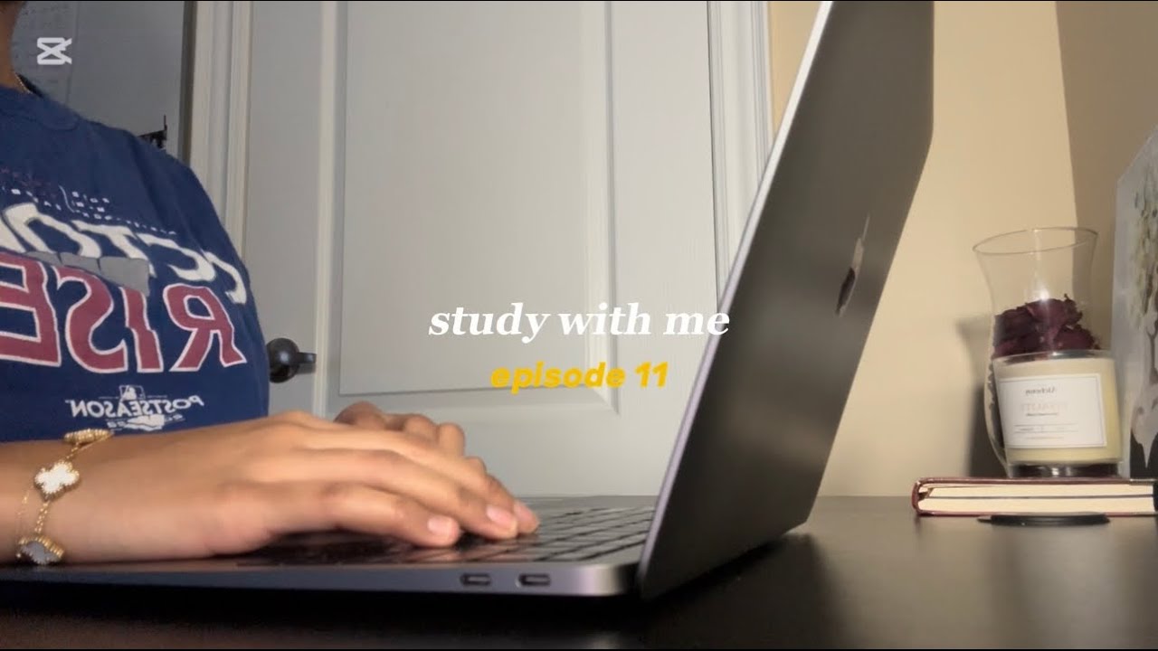 1 Hour Afternoon Study With Me | Soft Rain and Fire Crackling Sounds (Episode 11) - YouTube