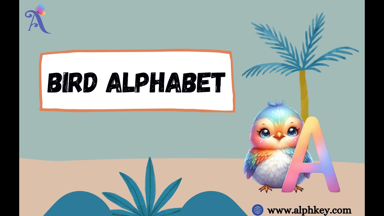 Bird Alphabet: Learn Letters with Feathered Friends! 🐦📚 - YouTube