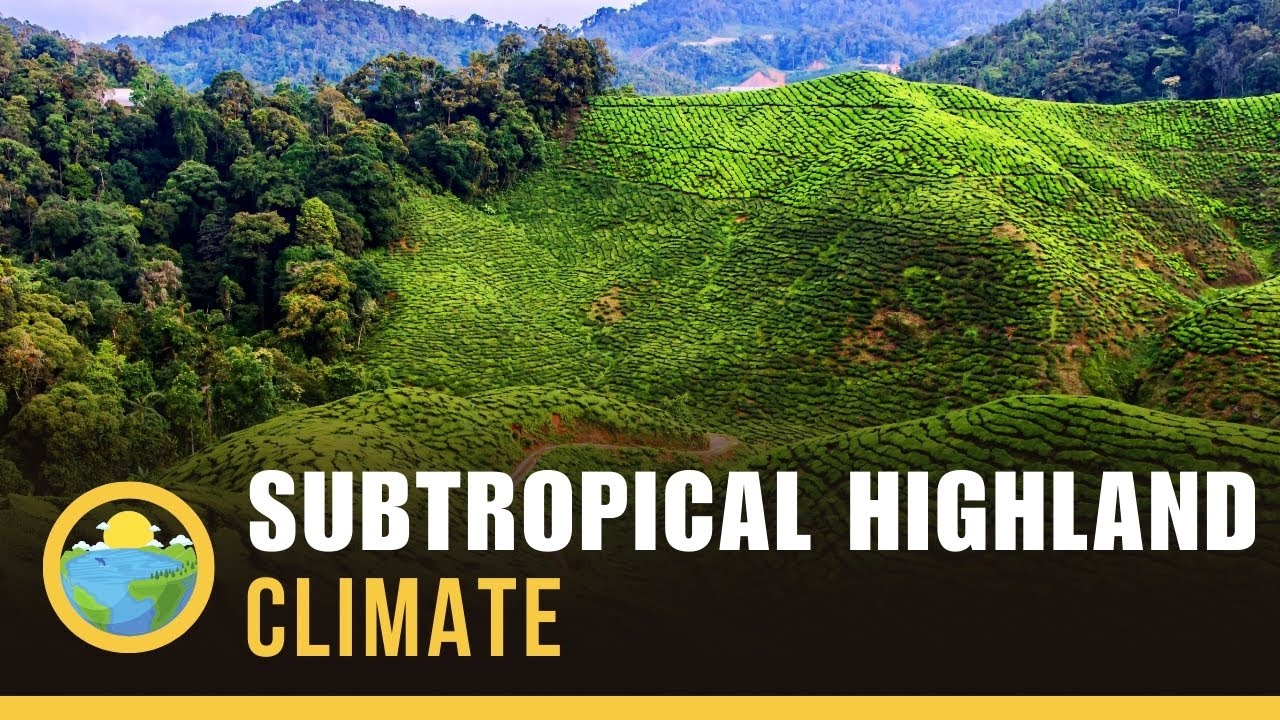 Subtropical Highland Climate - Climates #11 - YouTube