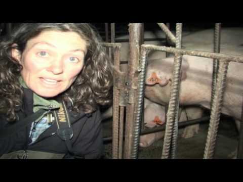 An Eternal Treblinka. - YouTube