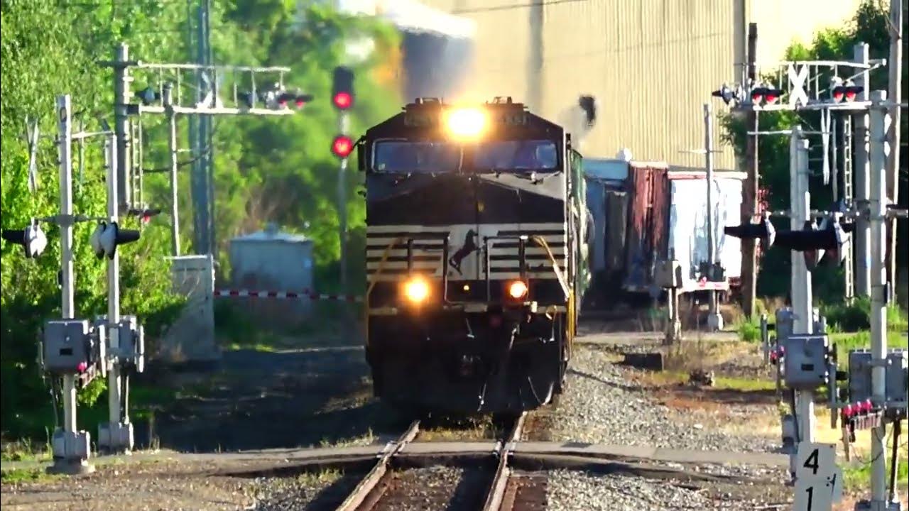 Heritage Unit on CSX Train! Dirty CP DPU Alright! Fast Amtrak Train! 1 Engine Pulls Long Tank ...