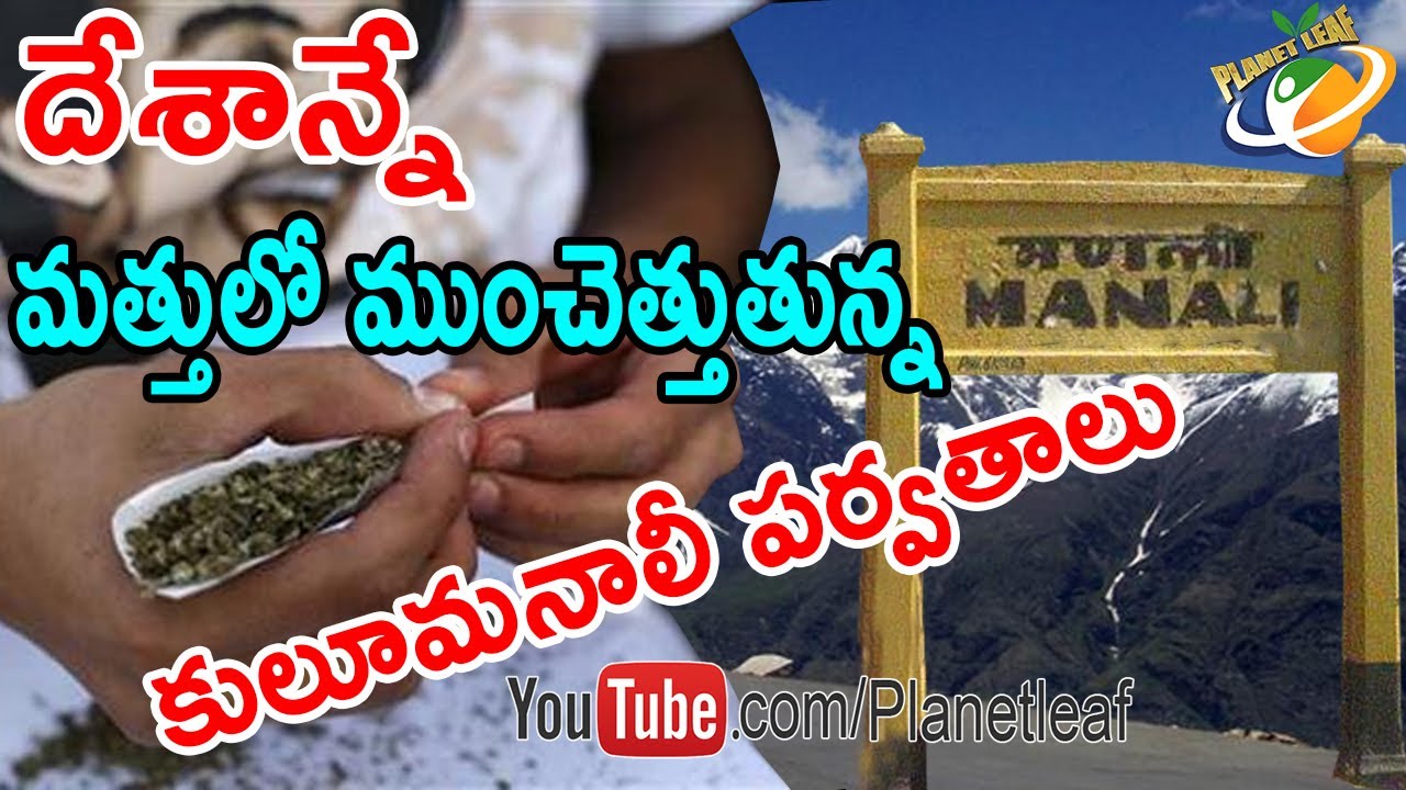 Drugs and Narcotics Traffickers at Kullu Manali: Growing Menace ...