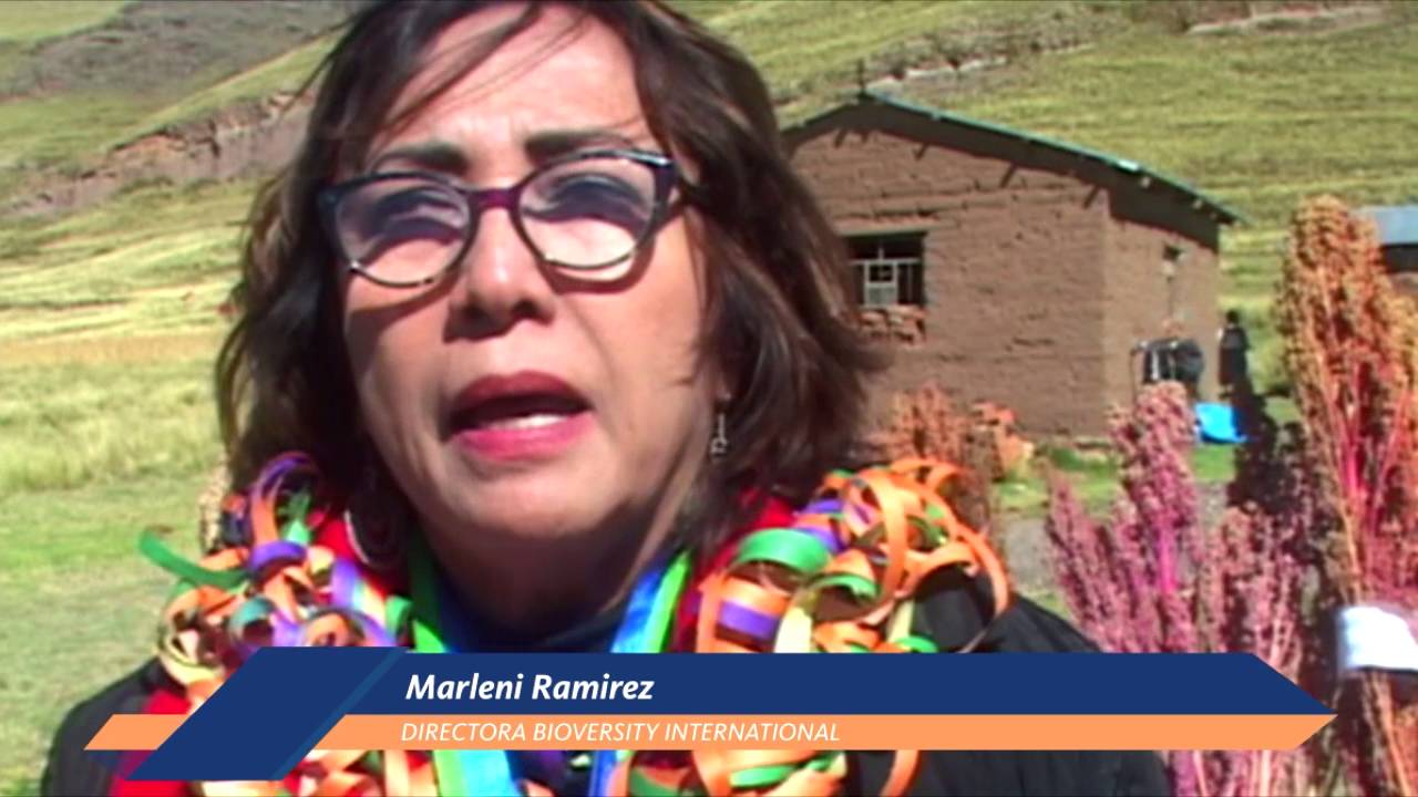 [Puno] Entrevista a Expertos en Programa RESCA - Marleni Ramírez - YouTube