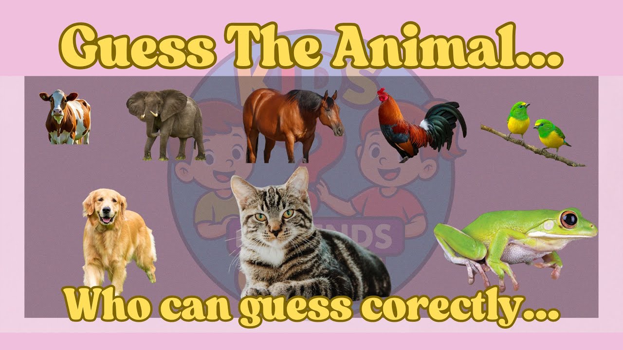Guess The Animal, Who Am I? For Kids - YouTube