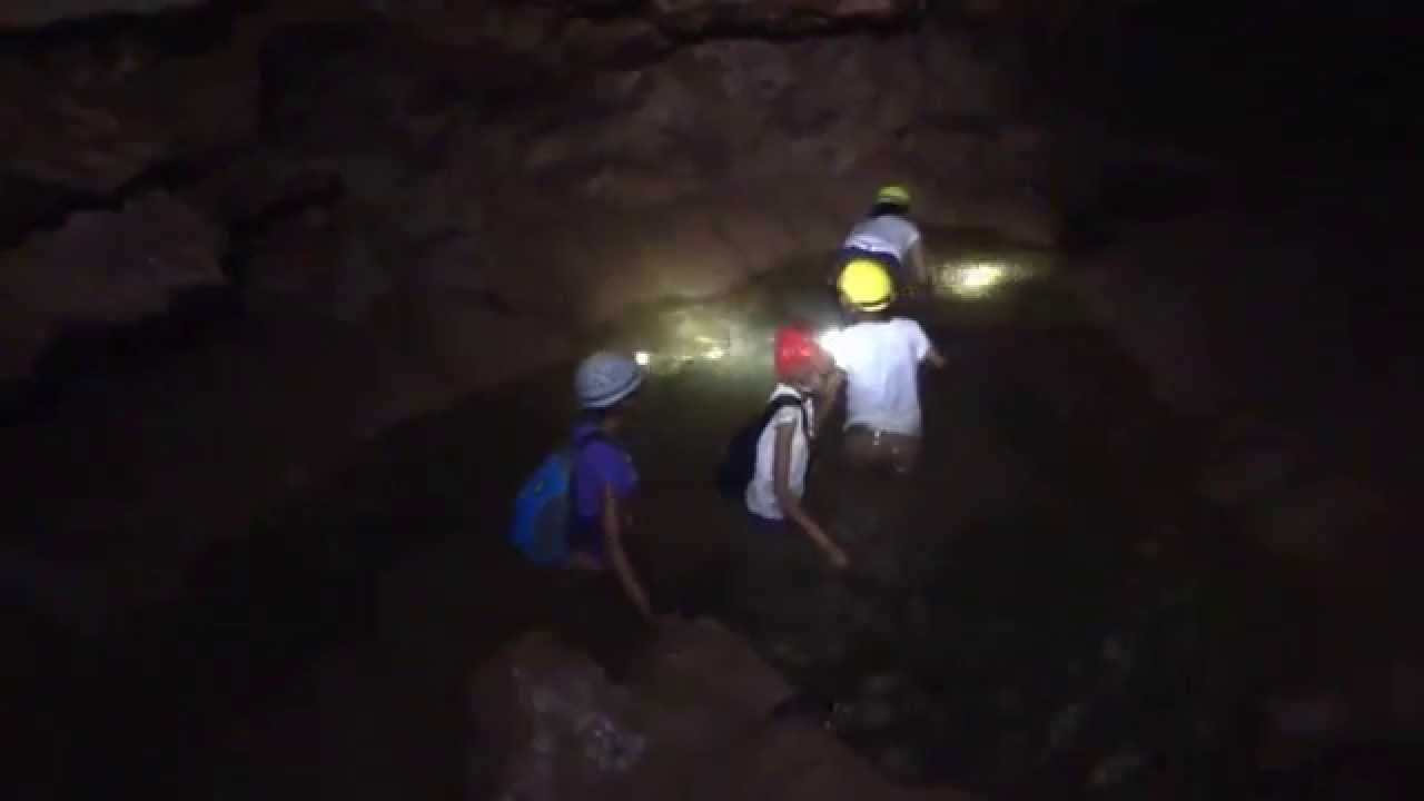 Worthy Park Cave-2, Lluidas Vale, Jamaica - YouTube