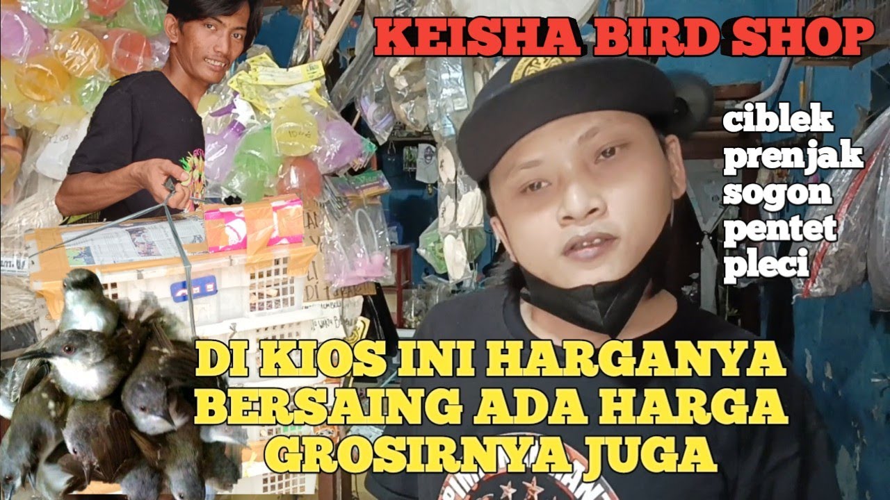 KIOS KEISHA BIRD SHOP - YouTube