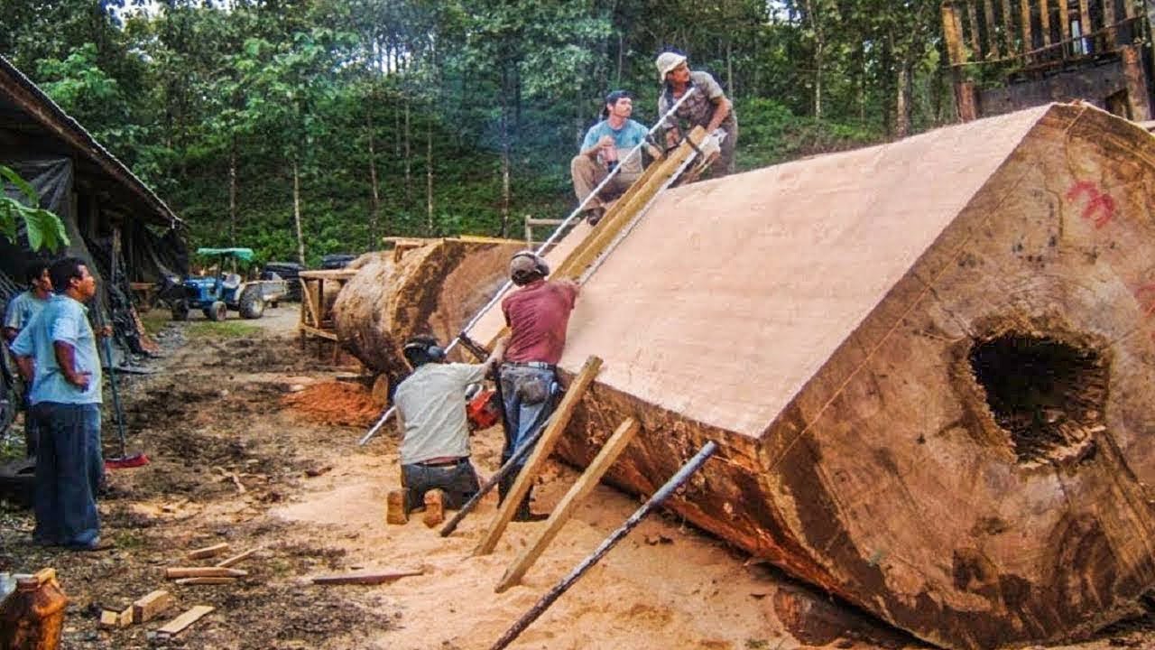 Dangerous Biggest Wood Sawmill Machine Working Extreme Fastest dangerous-biggest-wood-sawmill-machine-working-extreme-fastest