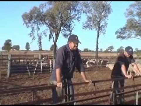 Farm Hand 2 - Friends give a Hand - Farmer Dave - YouTube