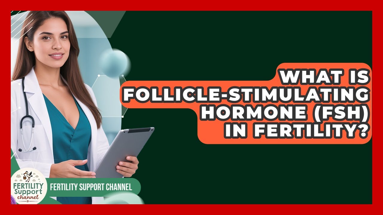 What Is Follicle-Stimulating Hormone (FSH) In Fertility? - Fertility ...