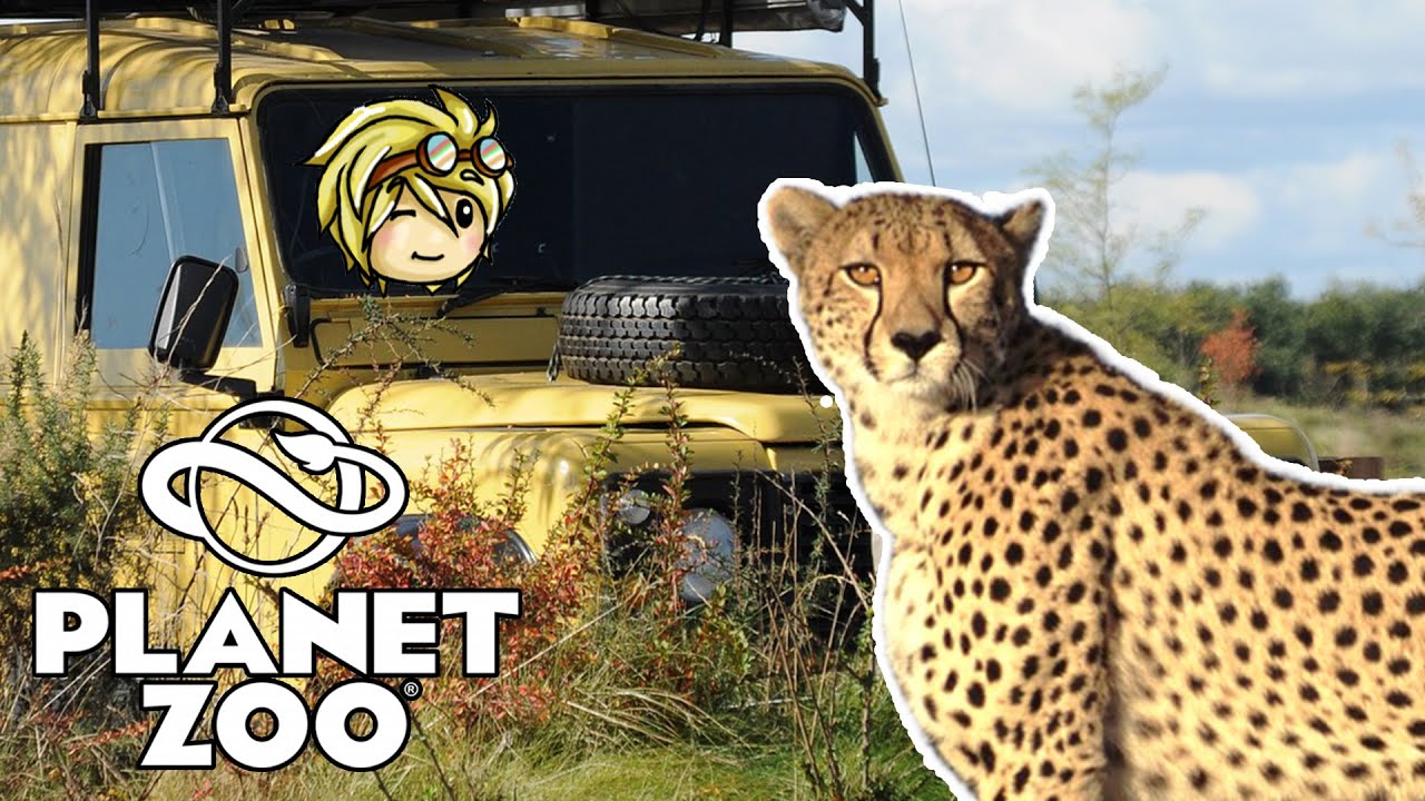 Auf nach Afrika | 8 | Planet Zoo - YouTube