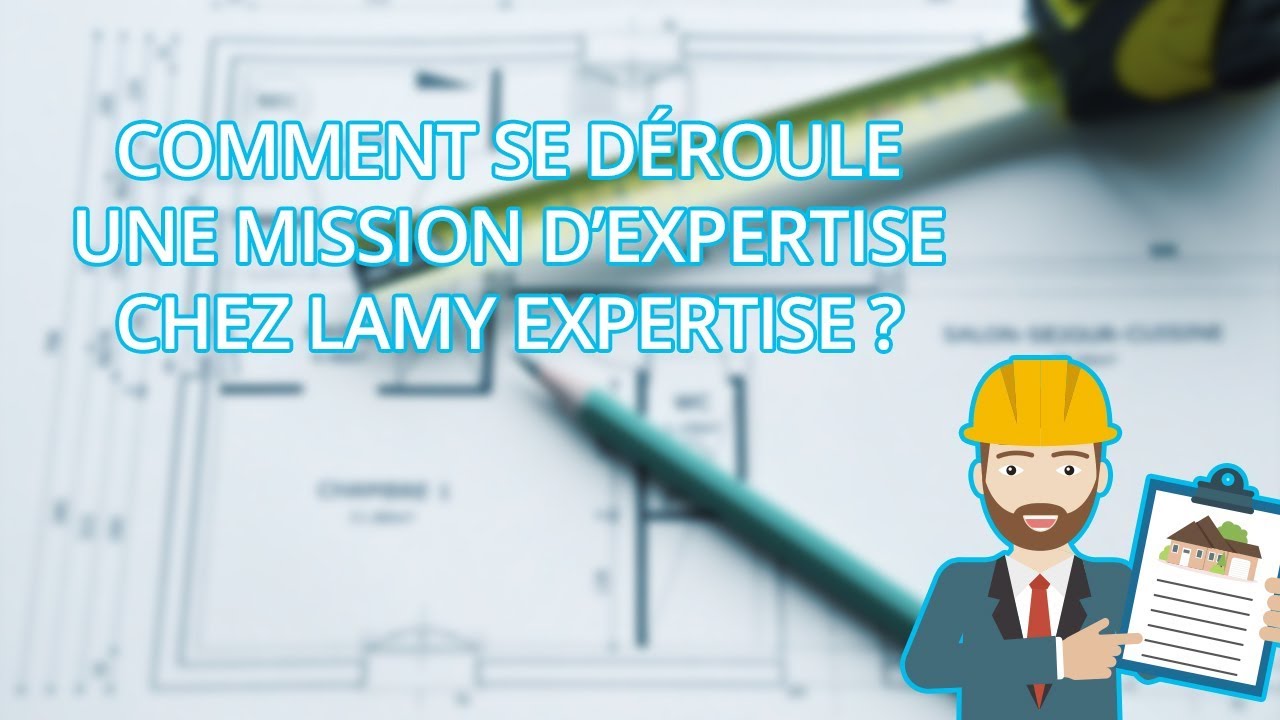 Comment se déroule une mission d'expertise chez LAMY Expertise ? - YouTube