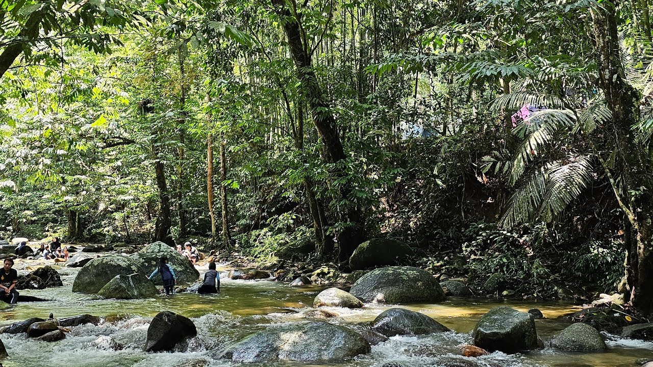 Short tour to Taman Eko Rimba, Sungai Tua - YouTube