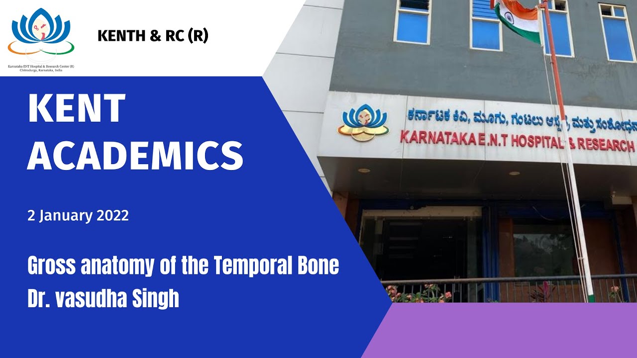 Gross Anatomy of the Temporal Bone - YouTube