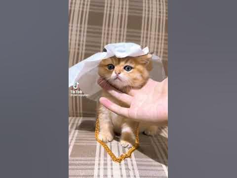 Тука така ту ту - YouTube