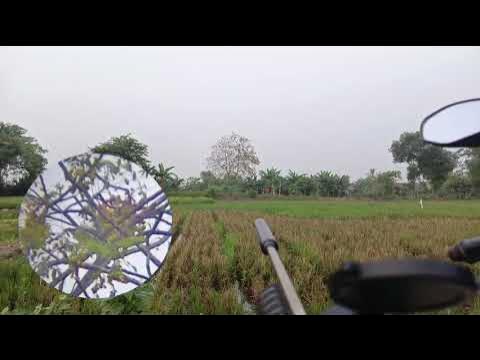 One Slug MKII 13 Gr DR SLUG A8 P58 - YouTube