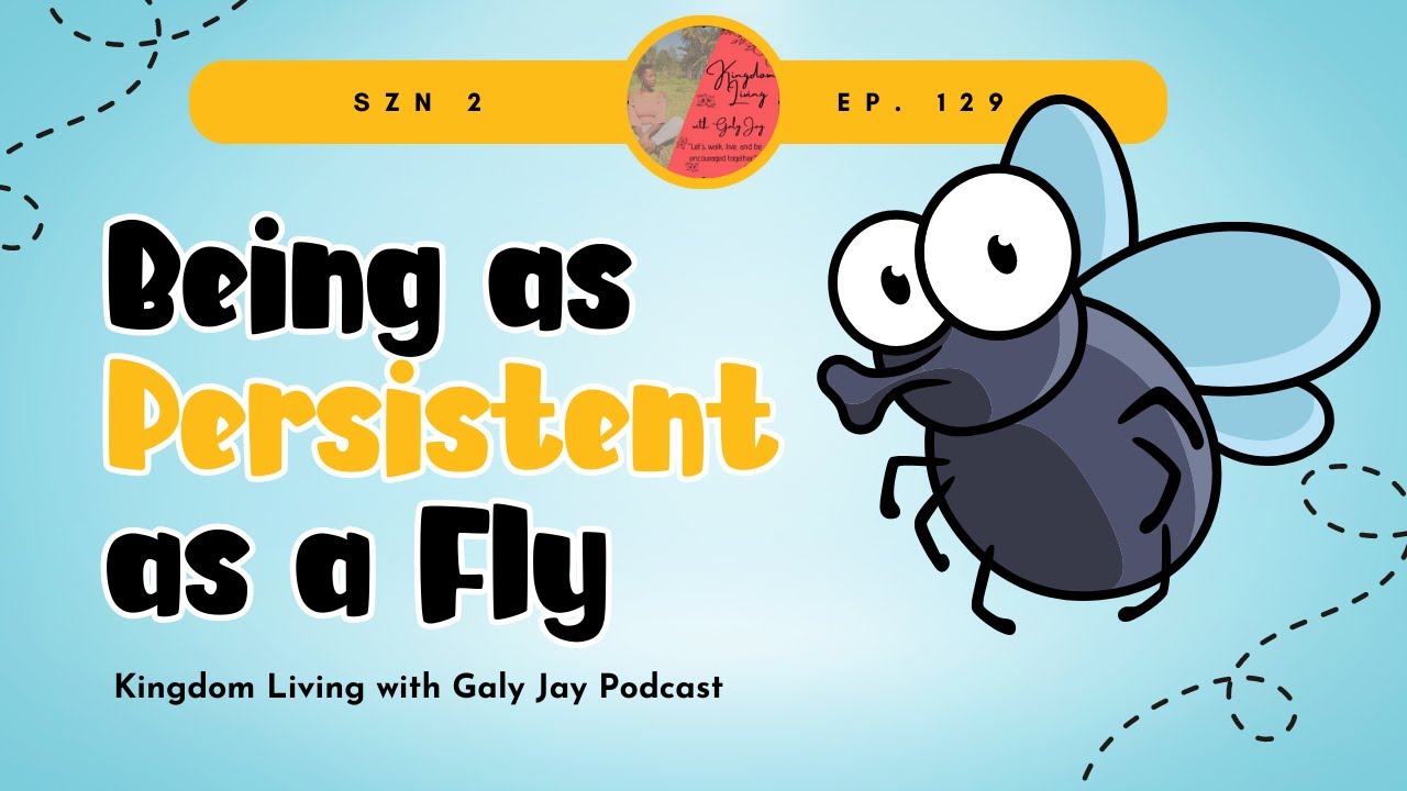 Being As Persistent As A Fly - YouTube