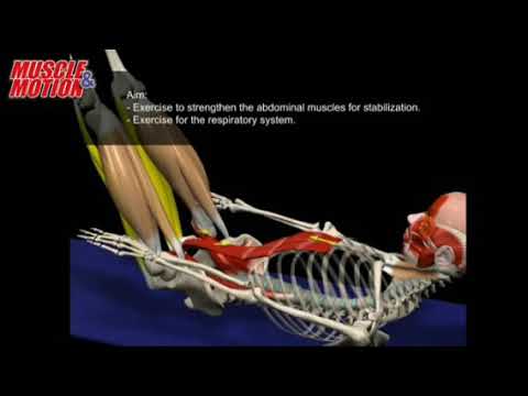 The hundred exercise... - YouTube