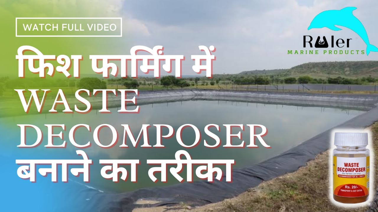 How To Make Perfect Waste Decomposer In Fish Farming - YouTube