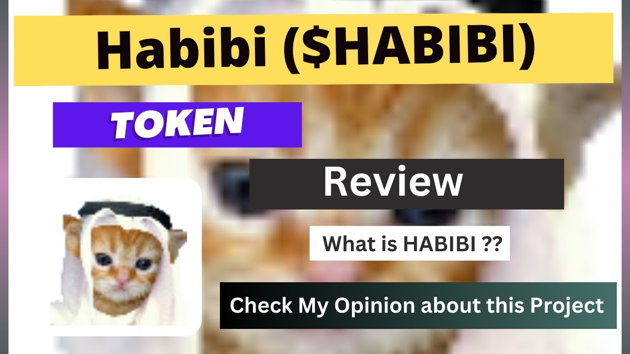 What is Habibi (HABIBI) Coin | Review About HABIBI Token - YouTube