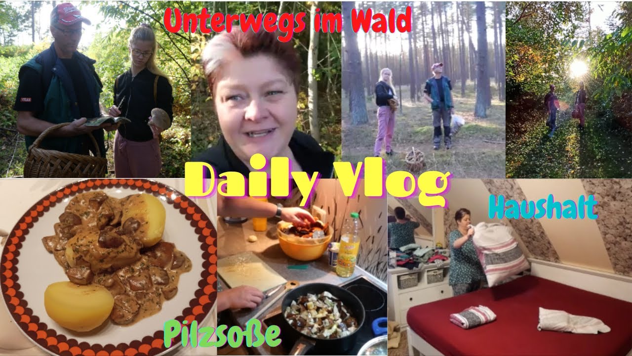 Daily Vlog / ein bisschen Haushalt / Im Wald zu dritt / Unser Wald vor ...
