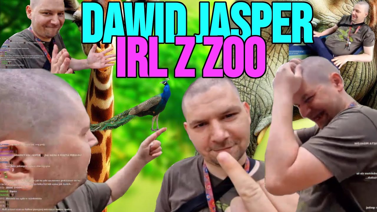 Dawid Jasper IRL Z ZOO - YouTube