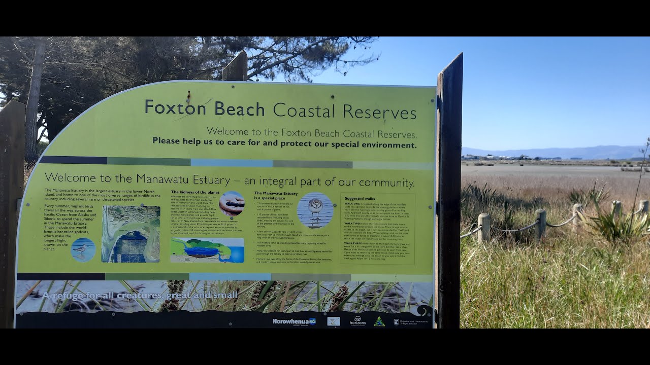 Return of the Godwits Manawatu Estuary, Foxton Beach 081022 - YouTube