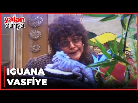 Orçun'un Yeni Ev Arkadaşı - Yalan Dünya 65. Bölüm
