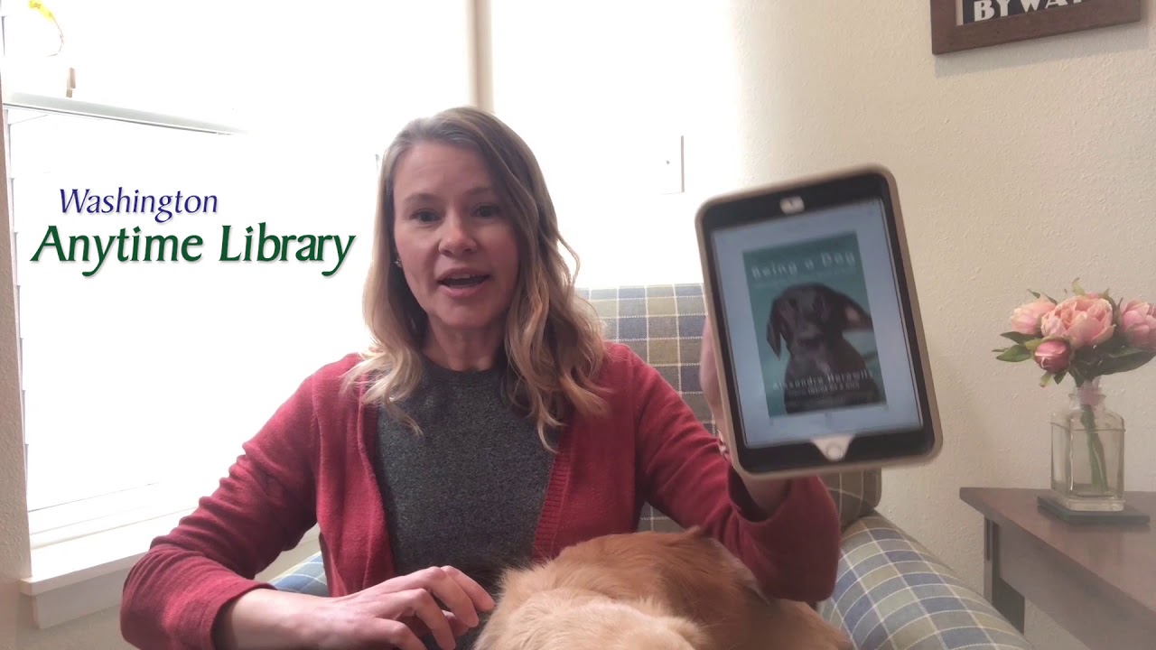 WCLS Staff@Home with Dana Pallas: Washington Anytime Library - YouTube