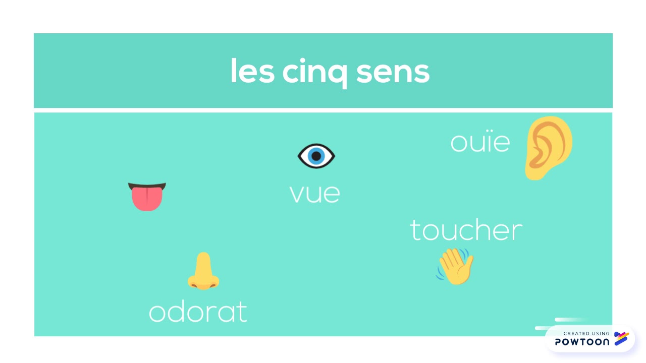 cours analyse sensorielle - YouTube