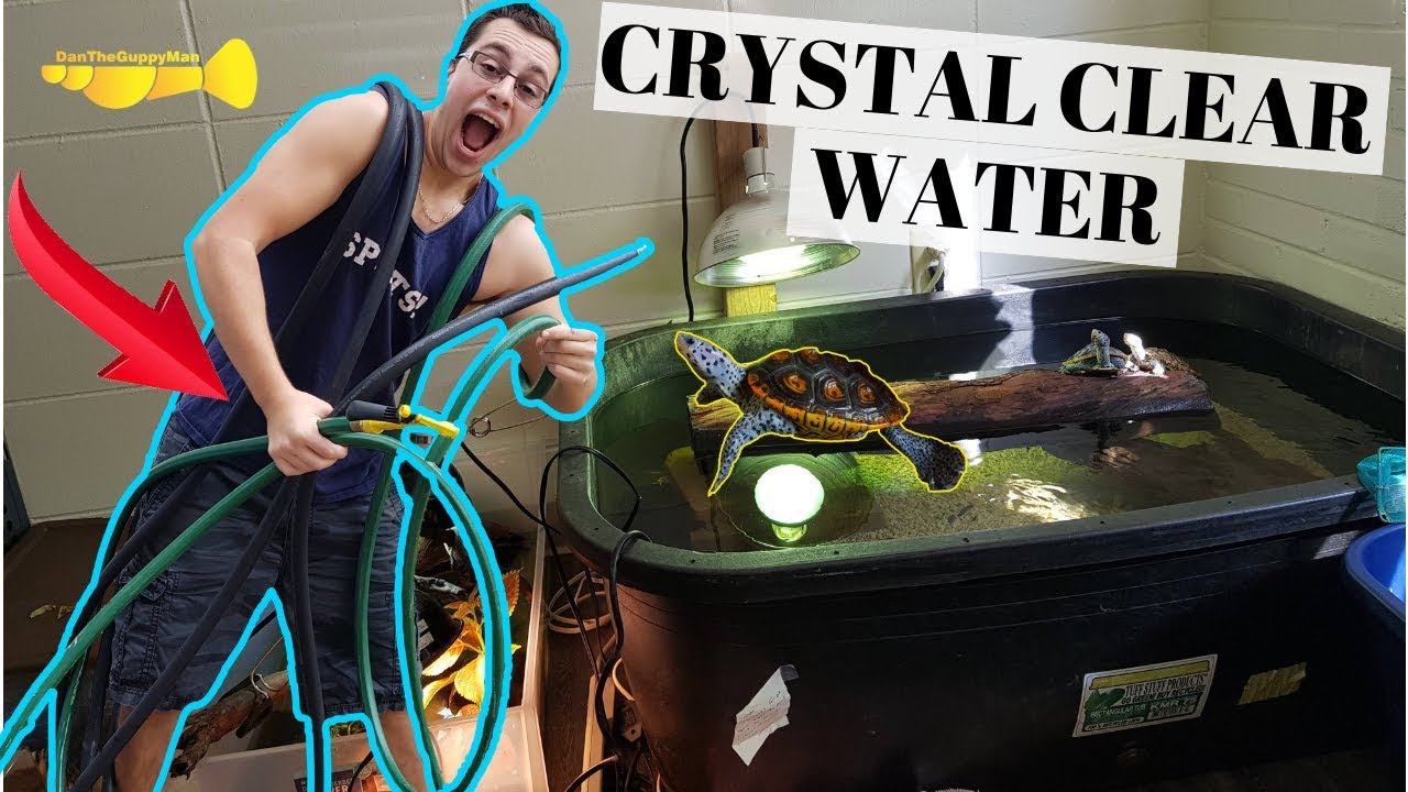 WATER CHANGE on my 75 gallon TURTLE POND!!! - YouTube