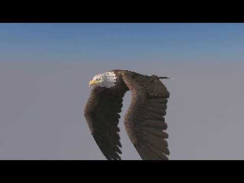 eagle test - YouTube