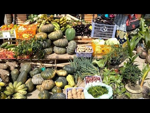 Lunhaw Festival at Mabinay Negros Oriental. - YouTube