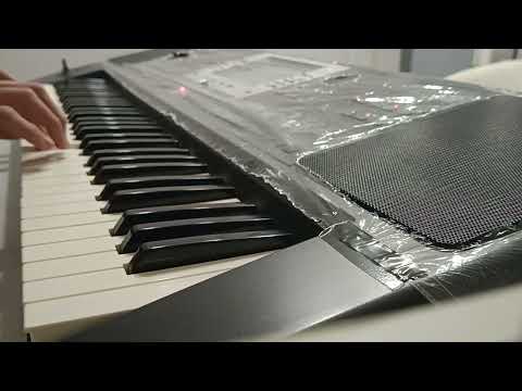 KORG PA 55TR | CEMİLEM | SİPSİLİ