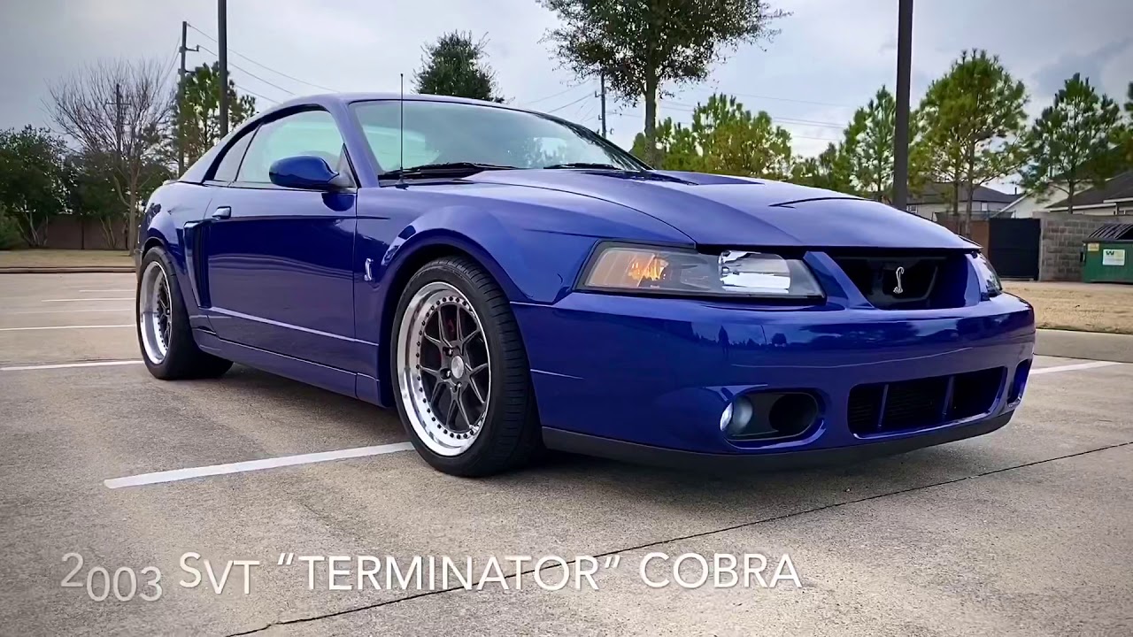 2003 Sonic Blue Mustang “Terminator” Cobra - YouTube