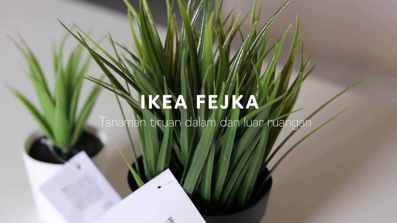 Ikea Fejka hiasan murah nan menawan - YouTube