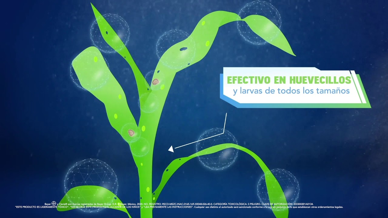 Las 5 del día con Clavis® - Beneficios - YouTube