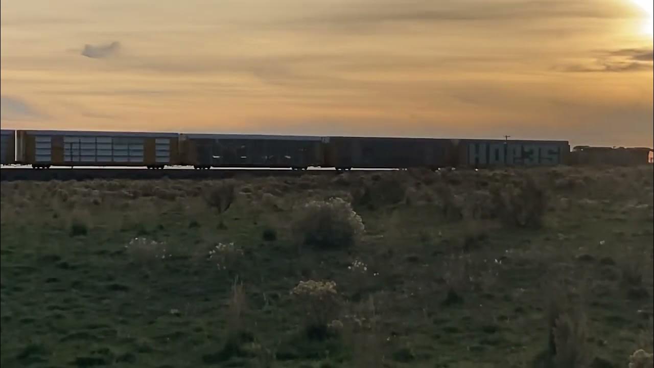 Union Pacific mixed manifest train east of Minidoka, Idaho - YouTube