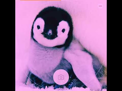 Demişdi ölen deyil☝️🤔