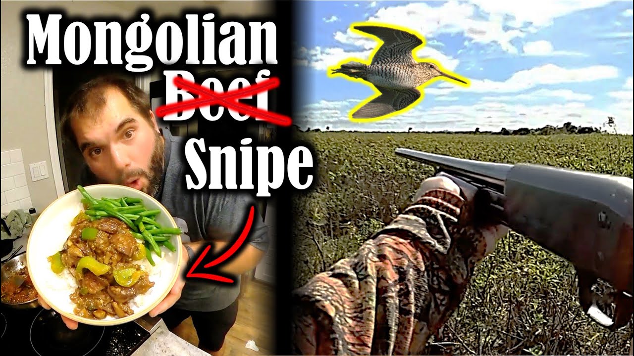 Snipe Hunting Catch, Clean, and Cook: Mongolian Beef, but with Snipe ...