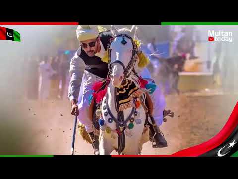 Musa Tera Teer Chalega | Syed Ali Musa Gillani NA 151 | New PPP Official Video Song 2024
