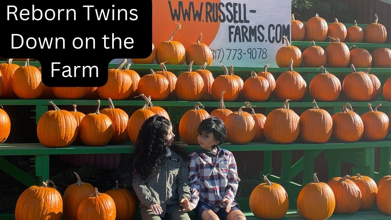 Reborns enjoy Farm Day Activities - YouTube