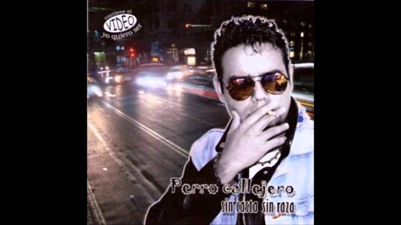 Olviderte - Perro Callejero (Sin Casta Sin Raza) - YouTube