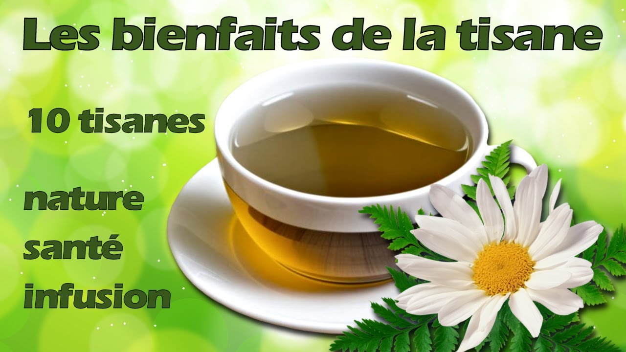 Les vertus de 10 tisanes pour le bien être, variétés, saveurs ...